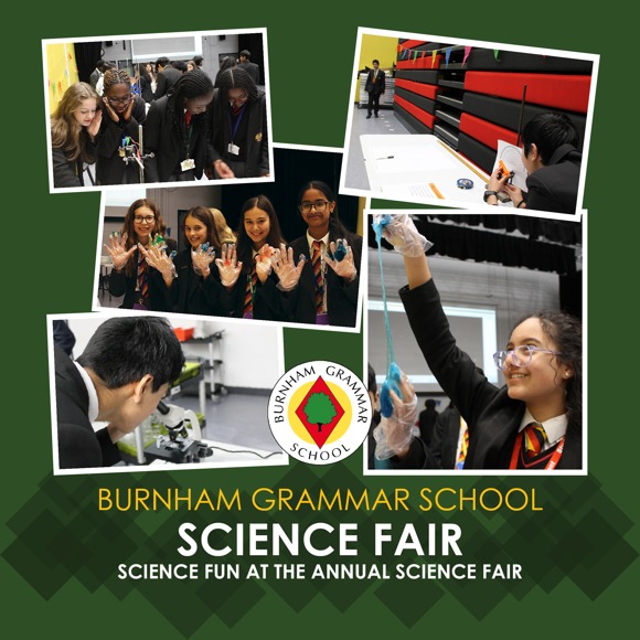Science Fair 2025 - Latest News - Burnham Grammar School